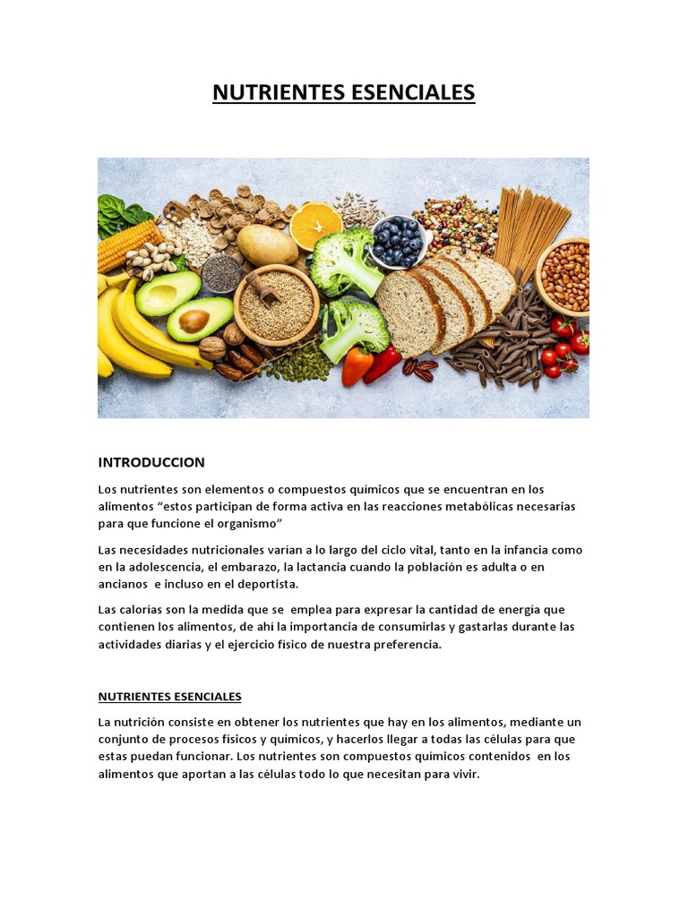 Nutrientes Esenciales | PDF