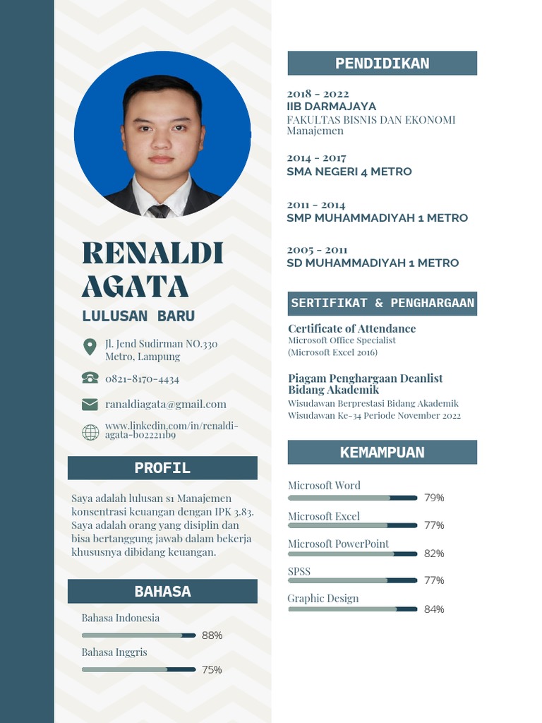 CV Renaldi Agata | PDF