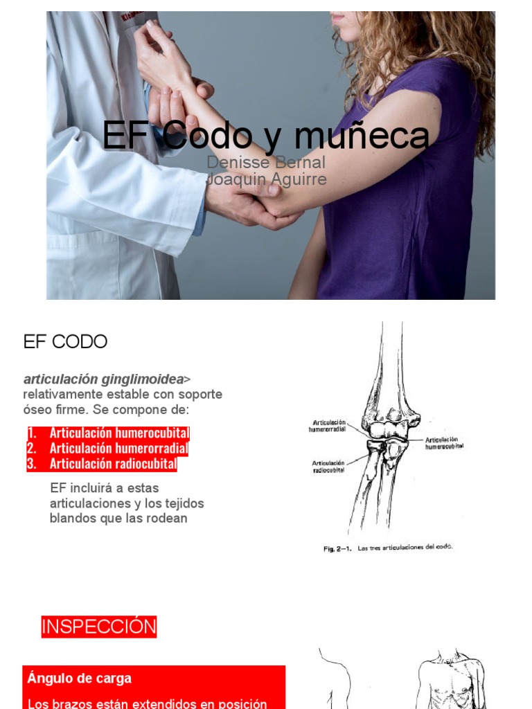 EF Codo y Muñeca PDF | Descargar gratis PDF | Codo | Sistema musculoesquelético