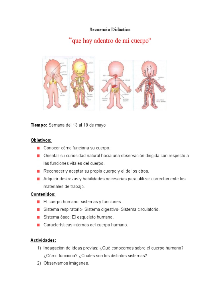 Hojas De Trabajo Sobre Los Sistemas Y Funciones Del Cuerpo Sistemas