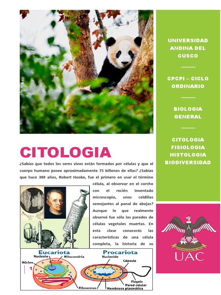 Cuadernillo Biologia 2 Pdf Pdf