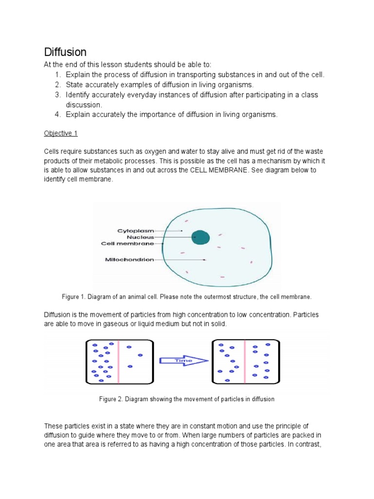 Diffusion in Plants and Animals | PDF