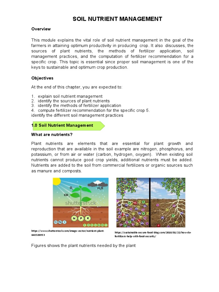Nutrient Management | PDF