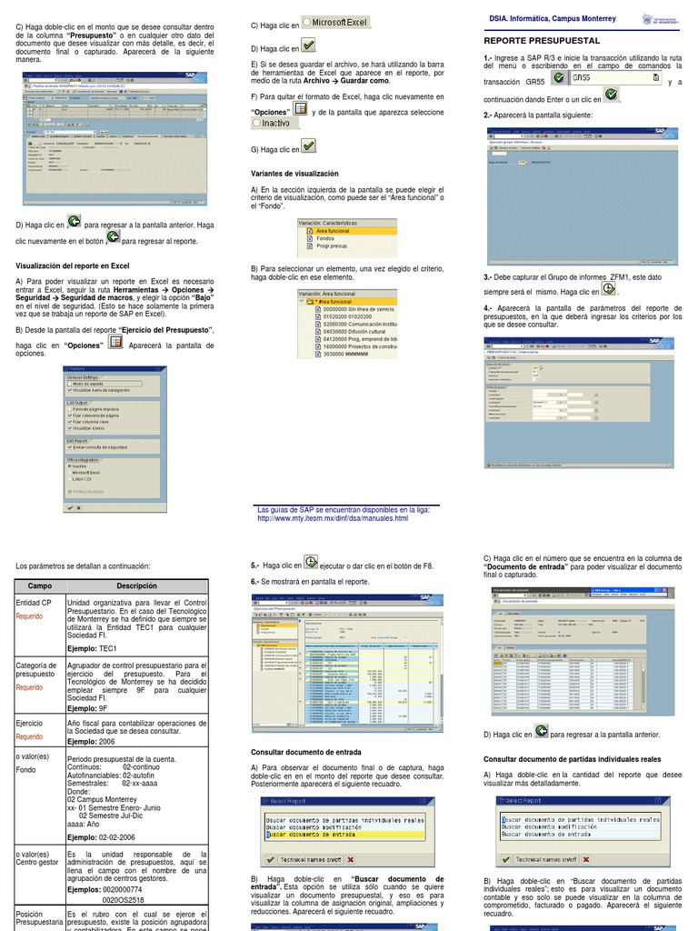 Guia SAP 5 Reporte Presupuestal | PDF | Point and Click | Presupuesto