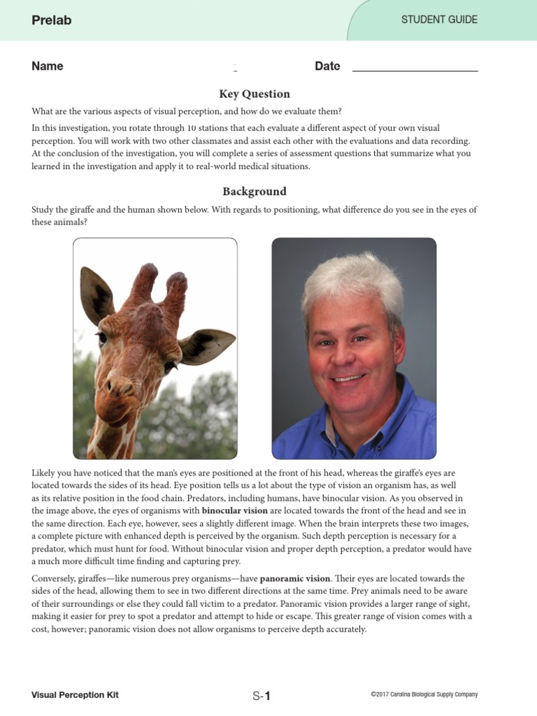 Visual Perception Lab PDF | PDF | Visual Perception | Eye