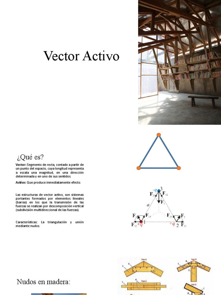 Vector Activo | PDF