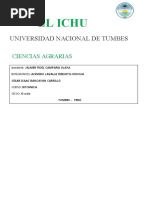 Ichu | PDF | Plantas | Horticultura y jardinería