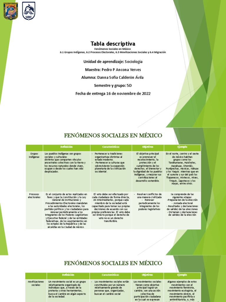TABLA DESCRIPTIVA DE LOS FENÓMENOS SOCIALES EN MÉXICO | PDF