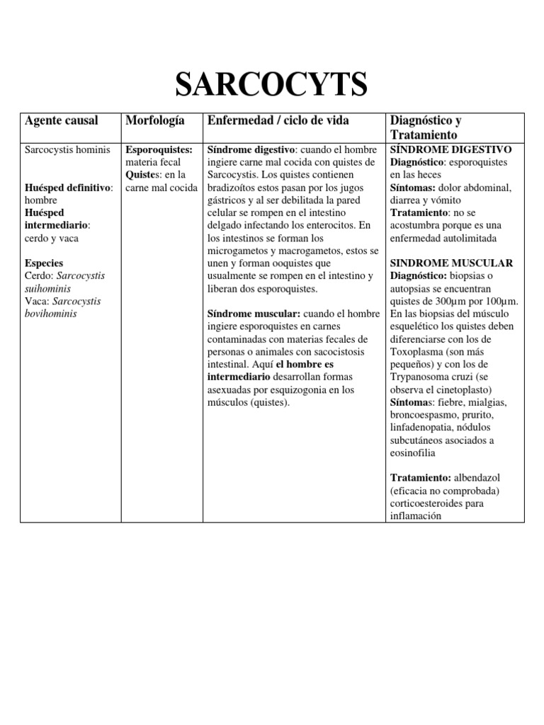 Sarcocystis PDF PDF