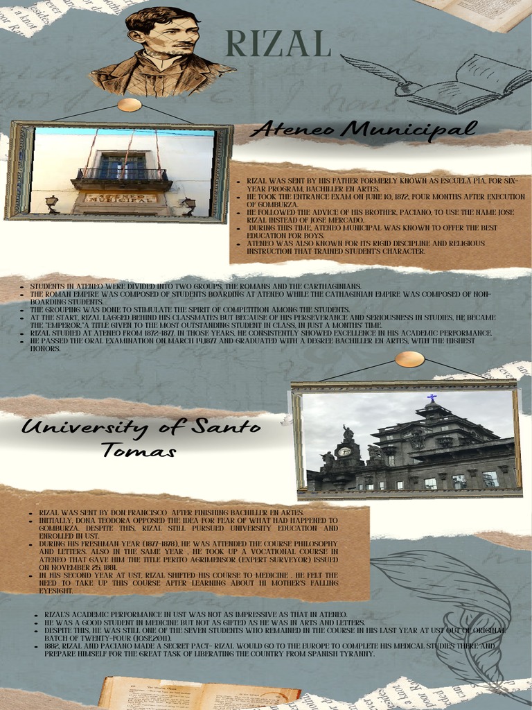 Brown Scrapbook Museum of History Infographic PDF | PDF