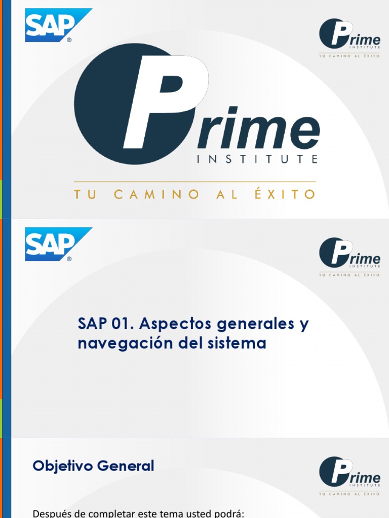 Presentacion Sap 01 | PDF