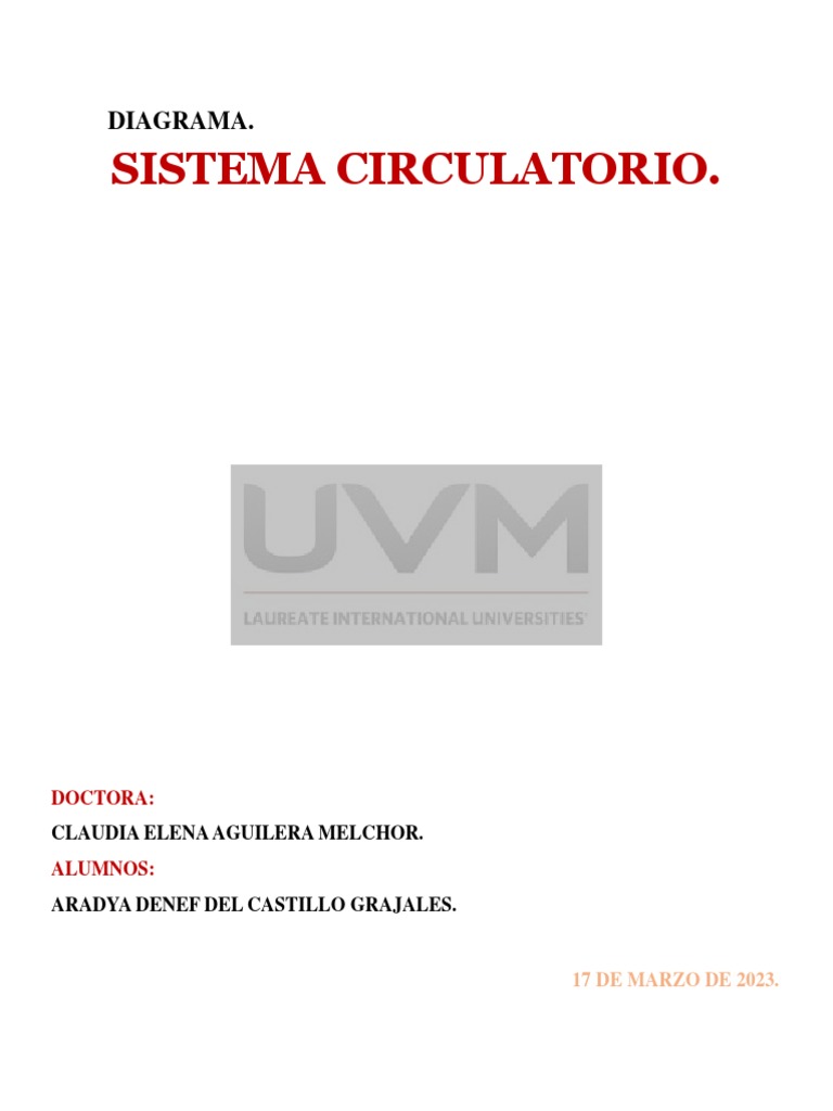 Diagrama Del Sistema Circulatorio | PDF