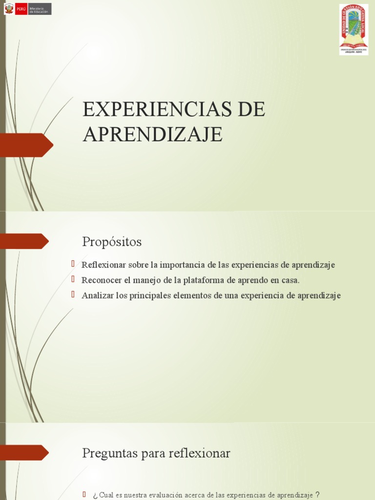 Exp de Ap | PDF | Aprendizaje | Experiencia