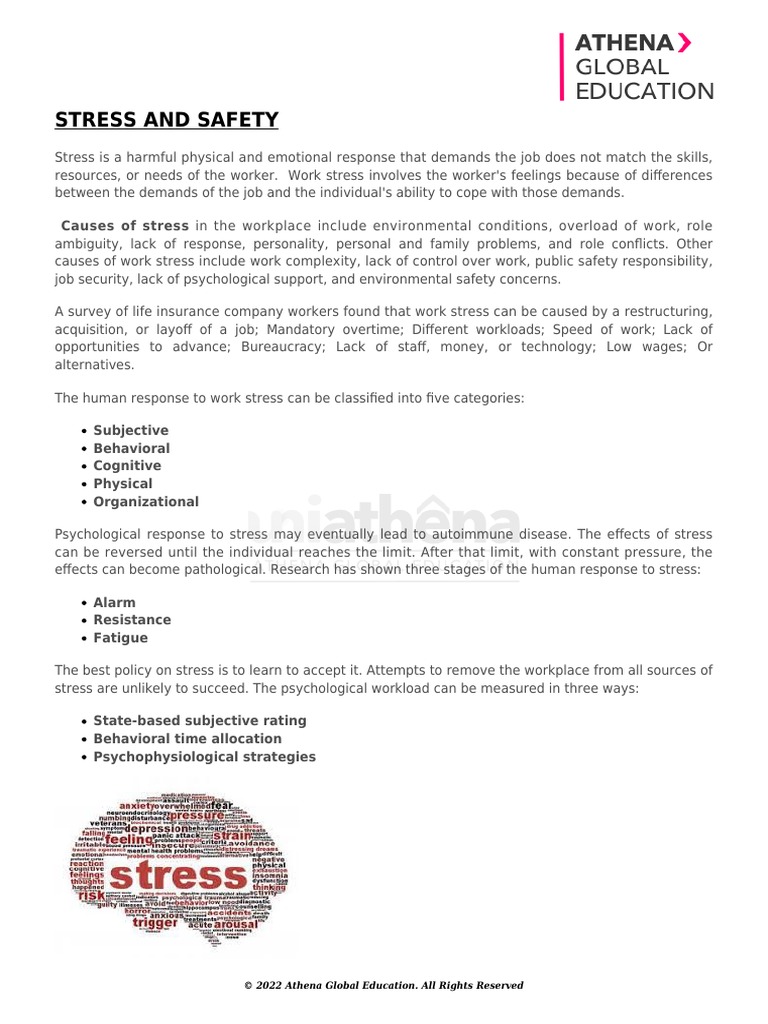 Stress and Safety PDF | PDF | Occupational Stress | Stress (Biology)