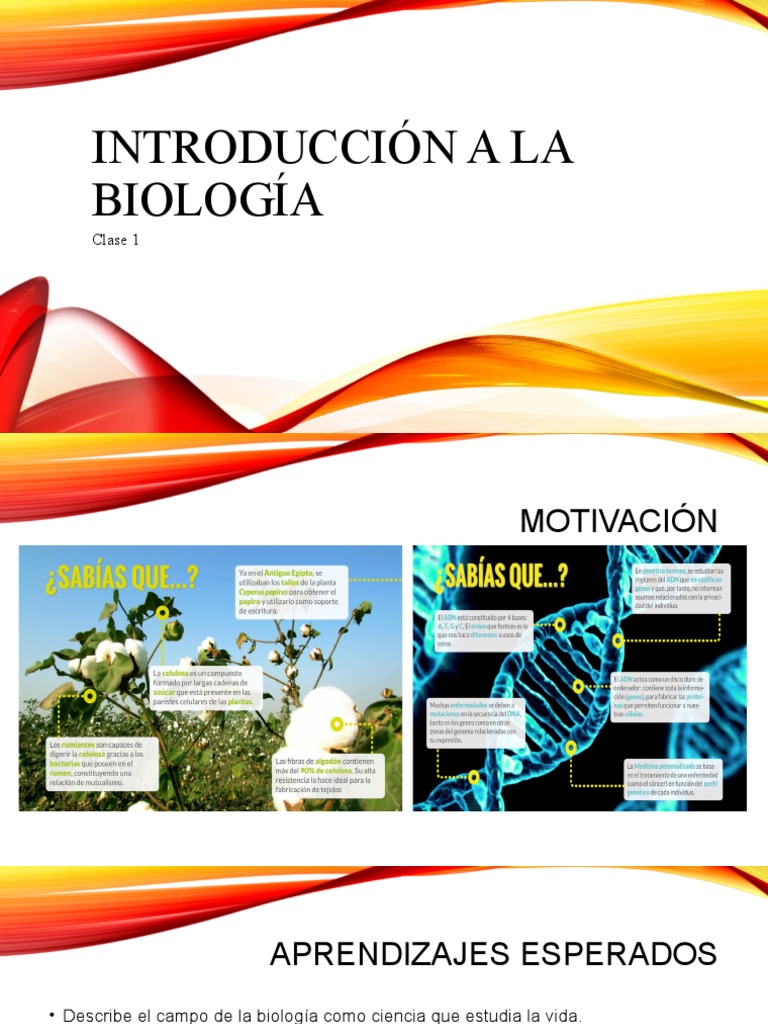Introducción A La Biología | PDF