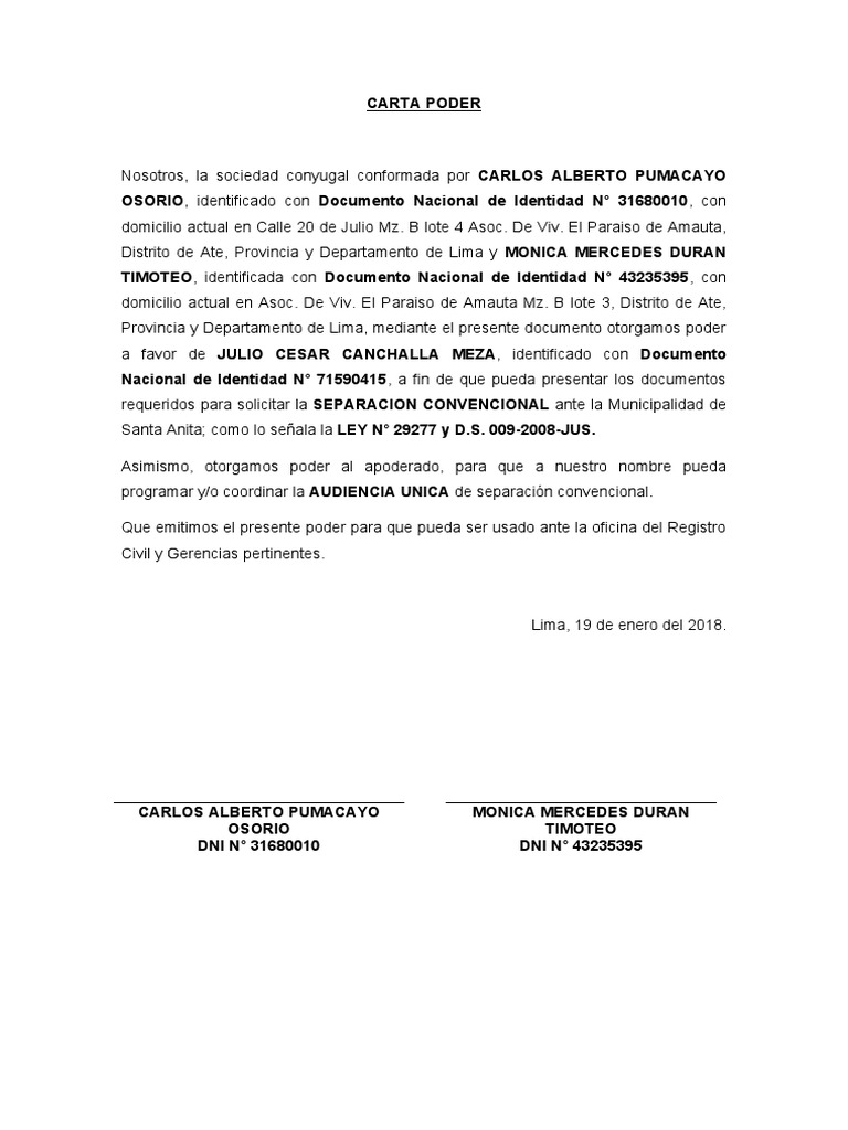 Carta Poder Divorcio | PDF