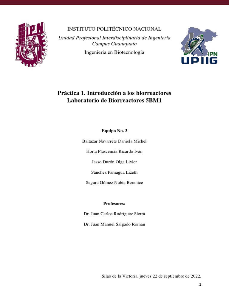 5BM1 Inf 1 Equipo 3 PDF | PDF | Naturaleza | Ciencias fisicas