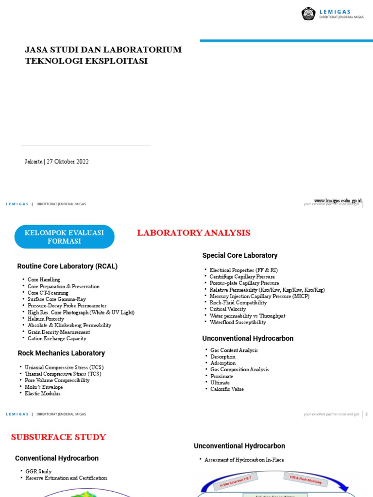 Jasa Lab Dan Studi DPMT | PDF | Carbon Capture And Storage | Chemistry
