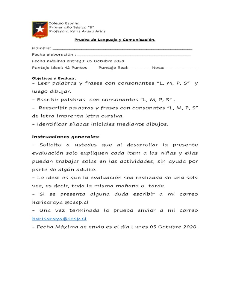 Prueba M L P S Pdf Pdf