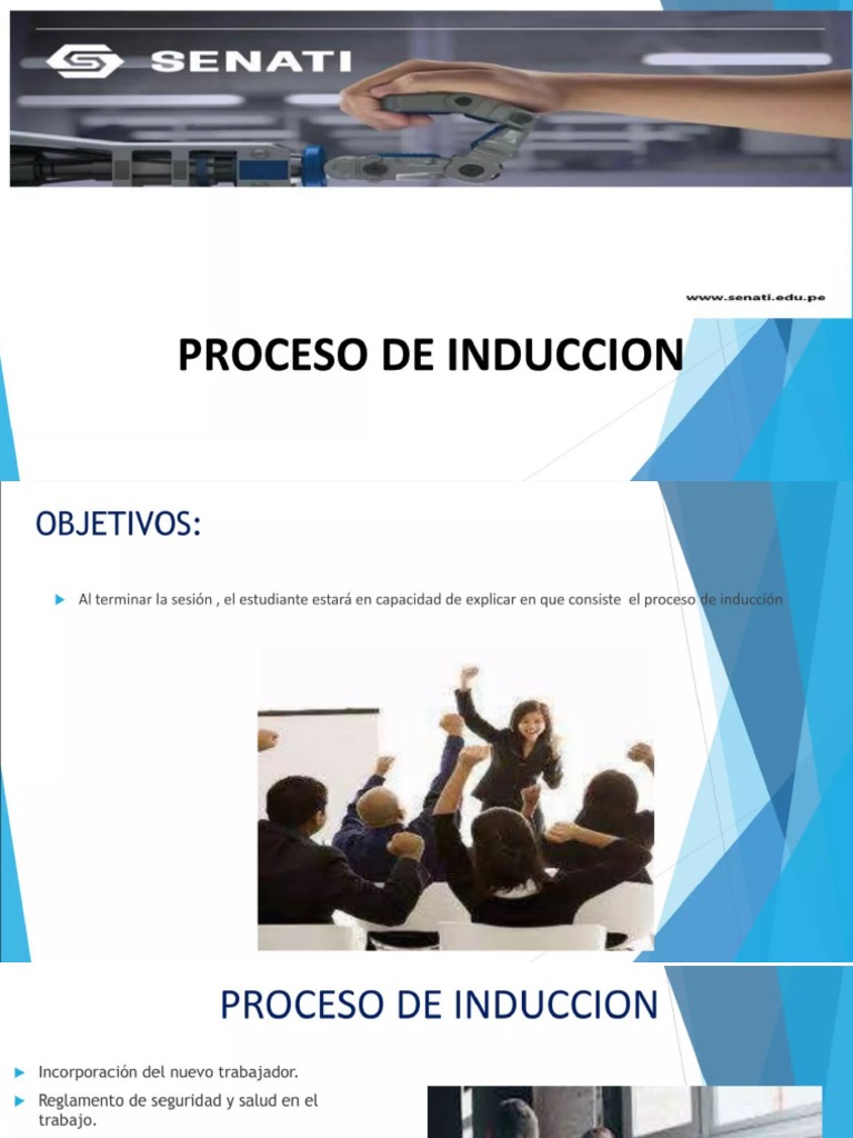 Proceso de Induccion | PDF