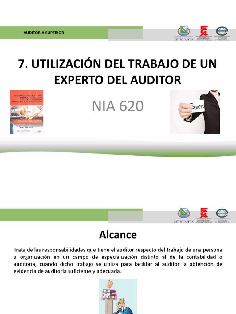 NIA 620 Utilizacion Del Trabajo de Un Experto Del Auditor PDF | Descargar gratis PDF | Auditoría ...