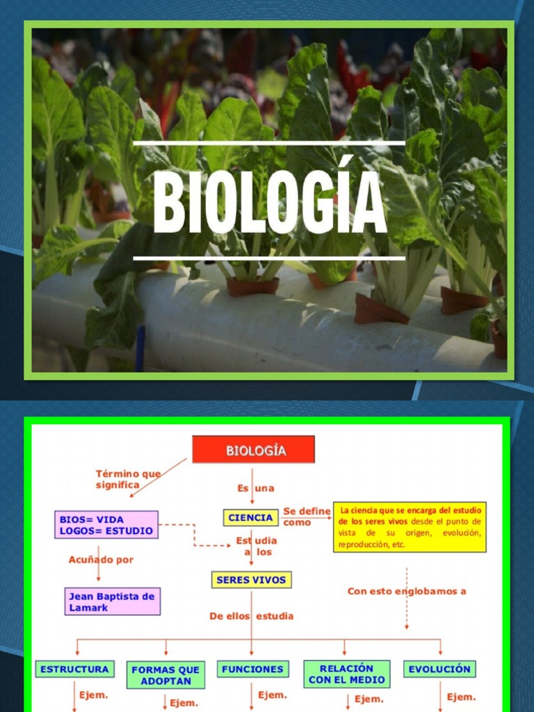 Ramas de La Biologia | PDF