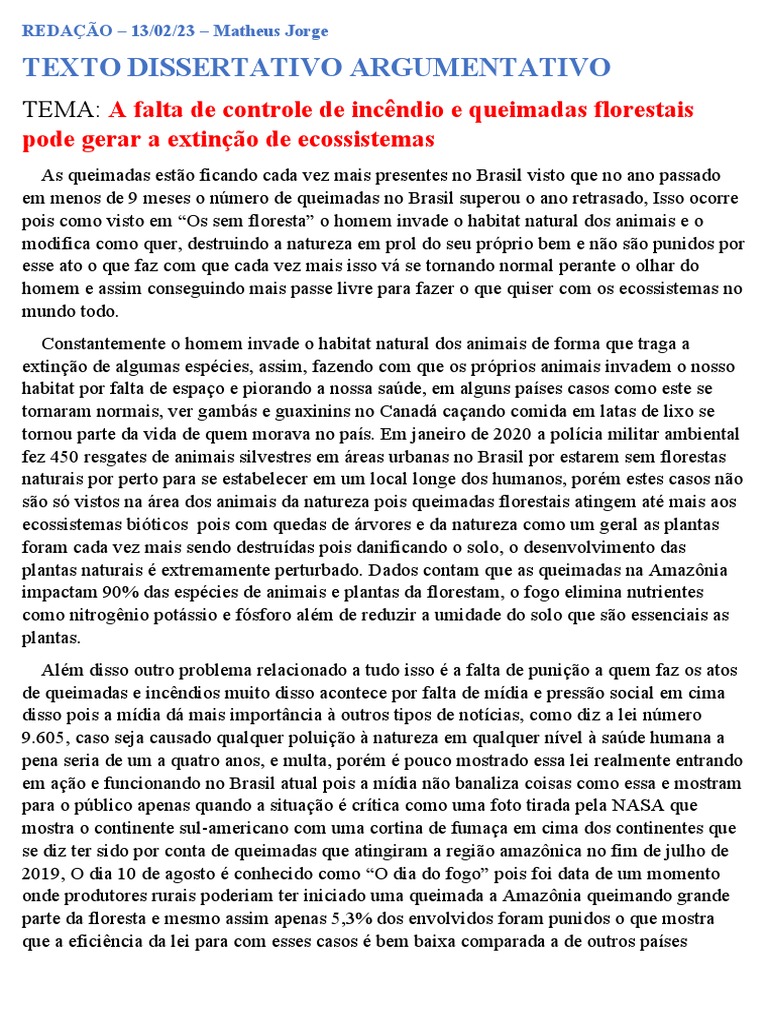 REDAÇÃO - Queimadas | PDF