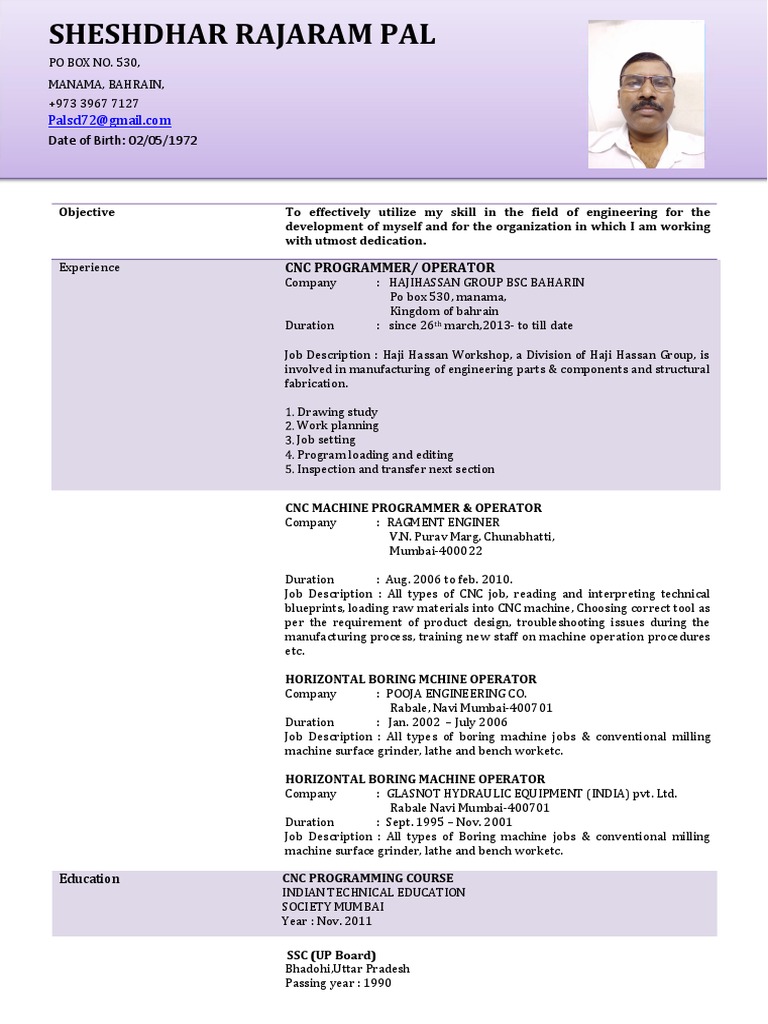 SHESHDHAR PAL CV Updated-1-Flattened PDF | PDF