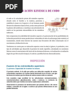 Reflejos Osteotendinosos y Soma | PDF | Codo | Articulaciones