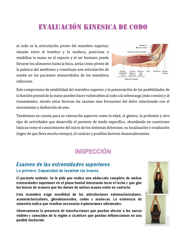 Evaluacion Kinesica de Codo | PDF | Codo | Mano