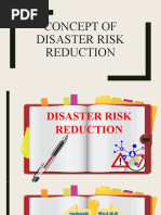 Disaster Risk Reduction and Management | PDF | Hazards | Risk