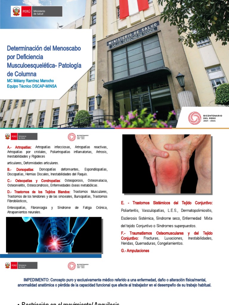 Determinación Del Menoscabo Por Enfermedad de Tipo Musculoesquelética 1 ...