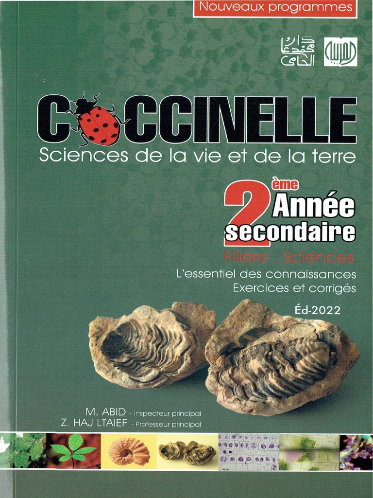 Coccinelle SVT 2 Eme Ocr PDF | PDF | Stratigraphie | Strate