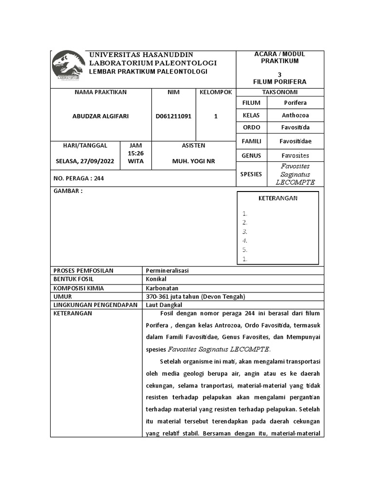 LKP Pal Acara 3 Porifera Algi | PDF