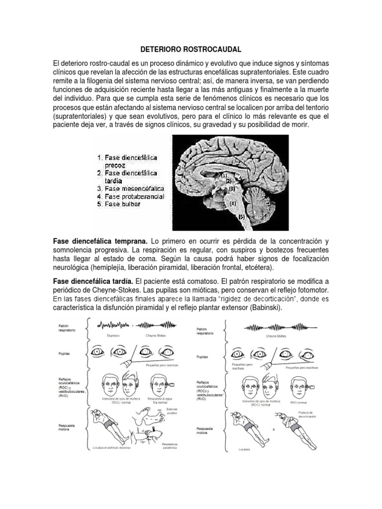 Deterioro Rostrocaudal | PDF