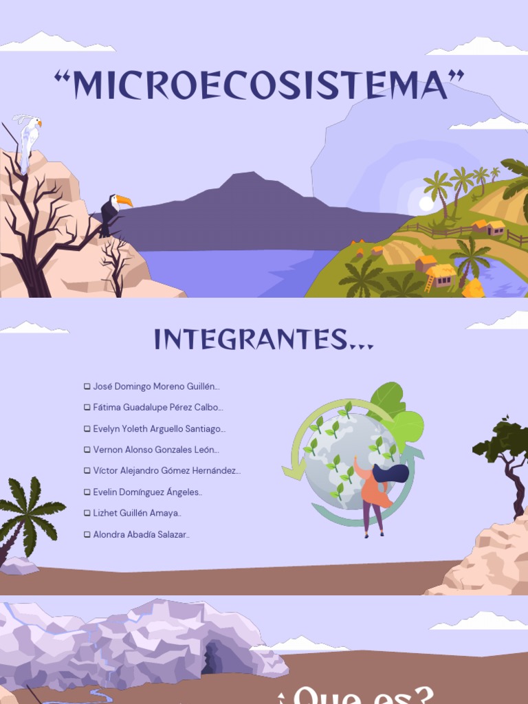 Que Es Un Microecosistema : Qué Es Un Microecosistema – RMIAVR