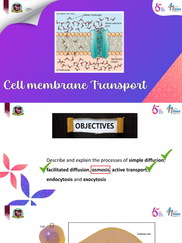 Cellular Transport Processes Explained | PDF