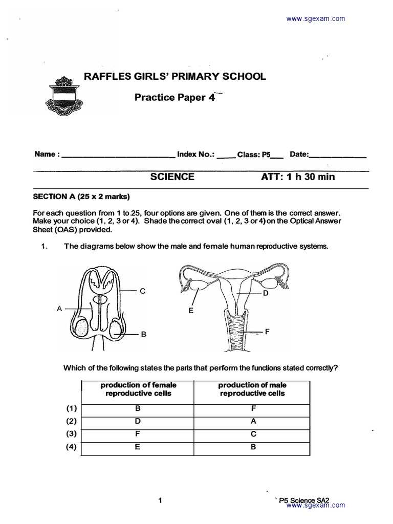 2021-P5-Science-Practice Paper 4-Raffles PDF | PDF