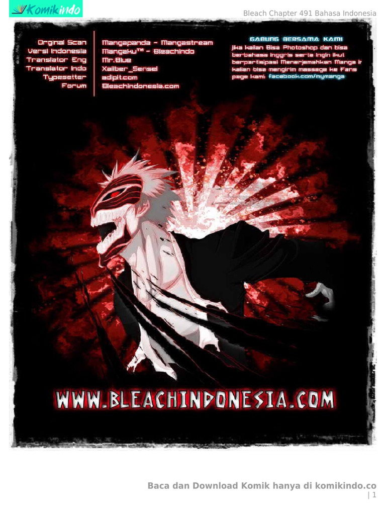 Bleach 491-500 PDF | PDF