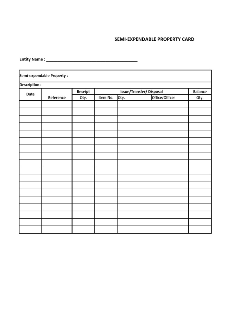 Semi-Expendable Property Card: Entity Name | PDF