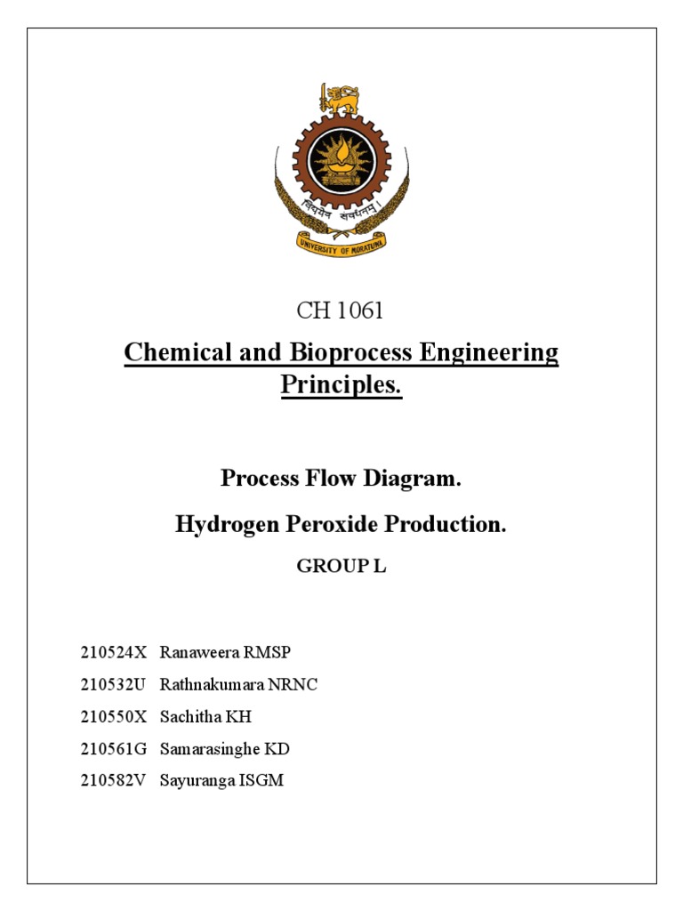 Process Flow Diagram New PDF | PDF | Hydrogen Peroxide | Chemical ...