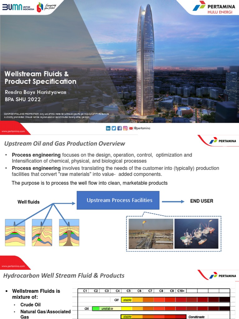 02 Wellstream Fluids & Product Specification PDF | PDF