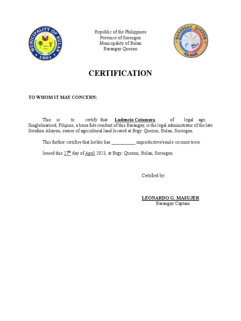 Certification of Land Administrator in Sorsogon | PDF