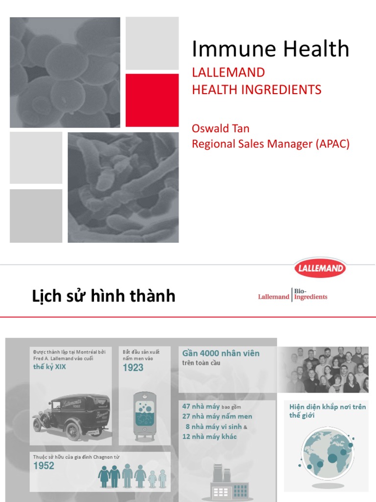 LALMIN | PDF