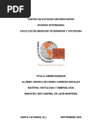 Atlas del Desarrollo Embrionario del Perro | PDF | Embrión | Procesos ...