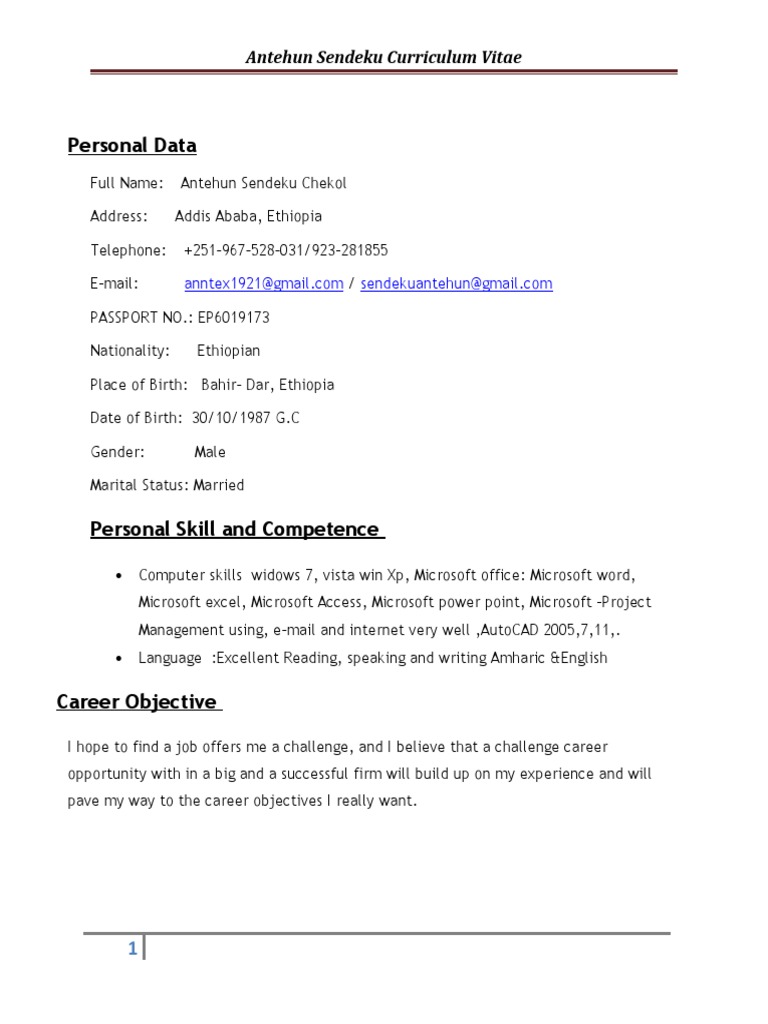 CV - 2022 | PDF | Technology & Engineering