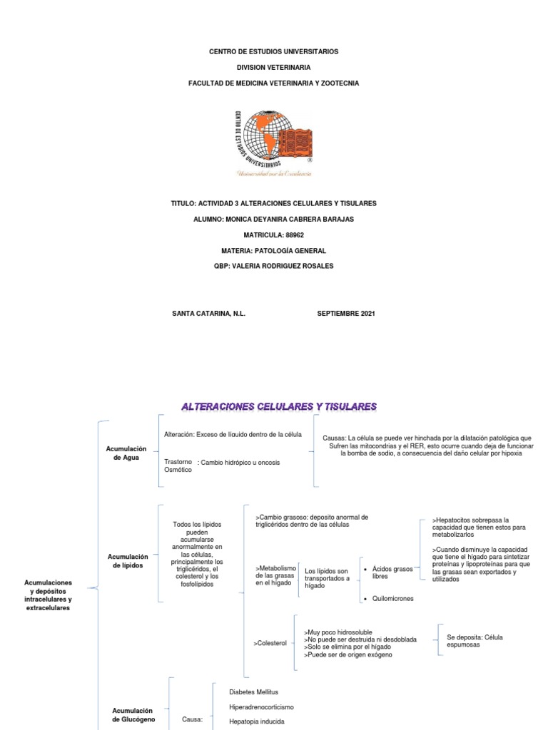Actividad 3 Alteraciones Celulares y Tisulares PDF | PDF