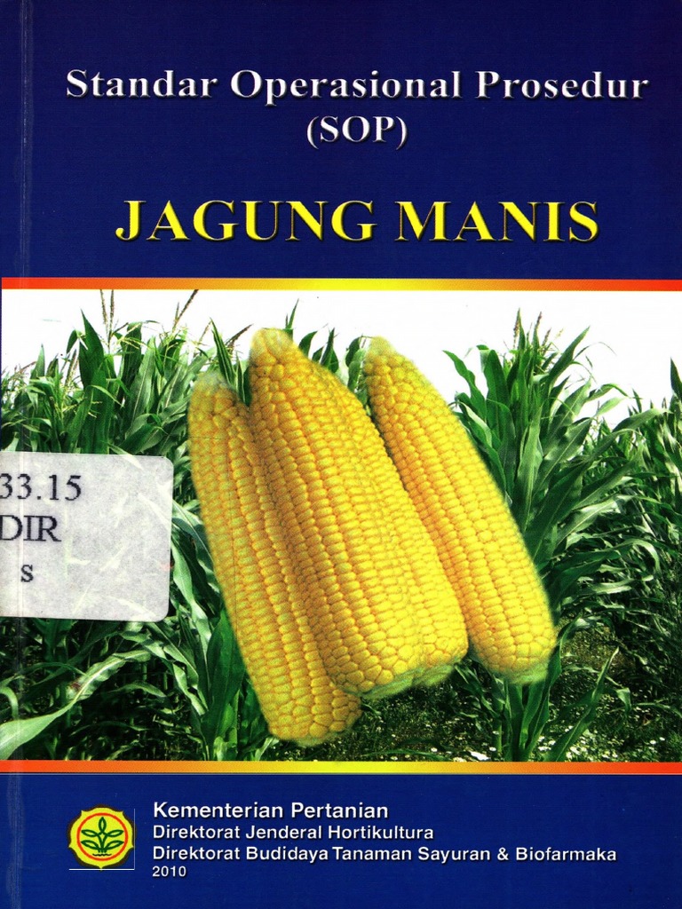Standar Operasional Prosedur (SOP) Jagung Manis PDF | PDF