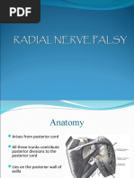 Deep Tendon Reflex Steps On How To Assess The DTR: Normal Response: DTR ...