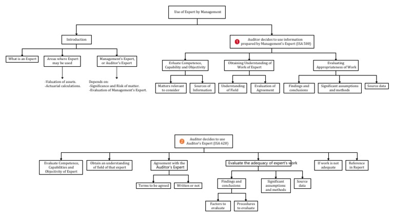 ISA 620 MindMap | PDF